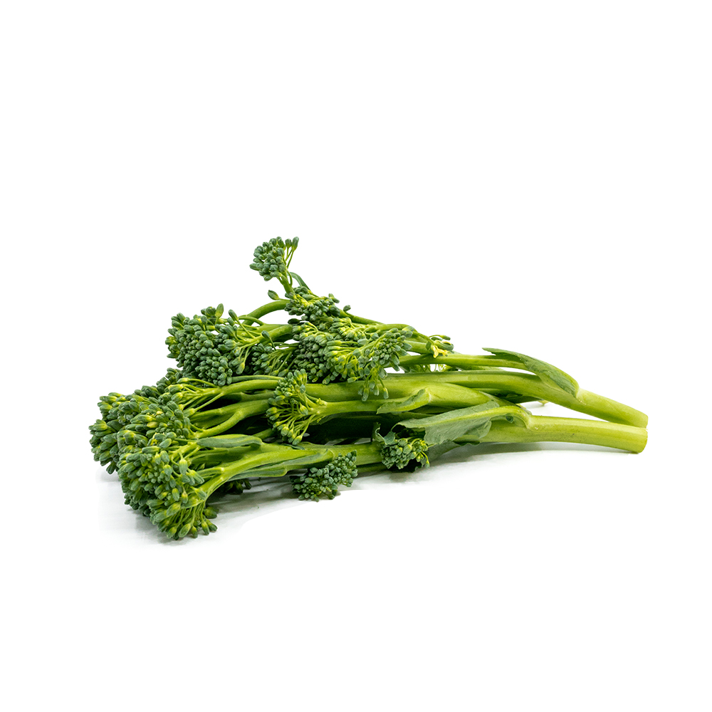 Broccoli – J Ambrogi Foods