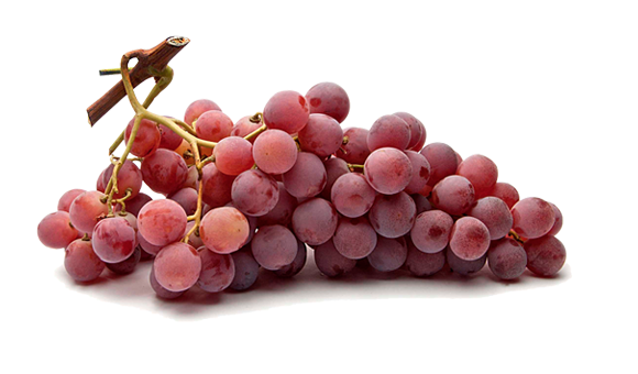 GRAPES RED GLOBE – J Ambrogi Foods